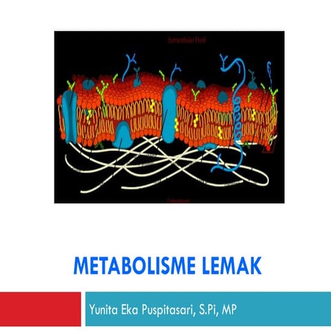 Metabolisme lemak 0 | PDF