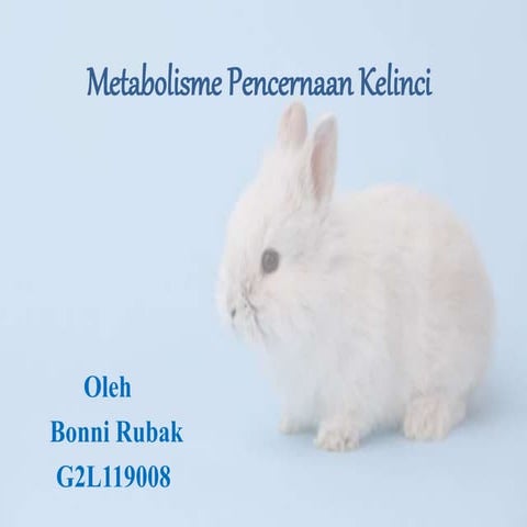 Metabolisme bonni rubak g2 l1 19 008 | PPT