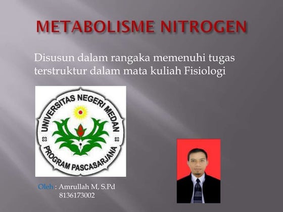 PPT KELOMPOK 9 - METABOLISME NITROGEN.pptx