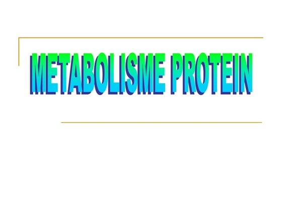 METABOLISME PROTEIN | PPT