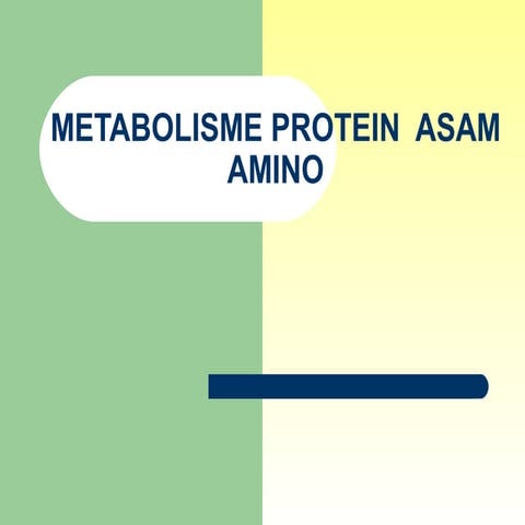 Metabolisme protein asam amino 12 | PPT