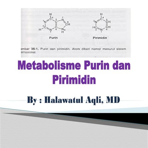 Metabolisme purin dan pirimidin.pptx dr Aqli | PPTX