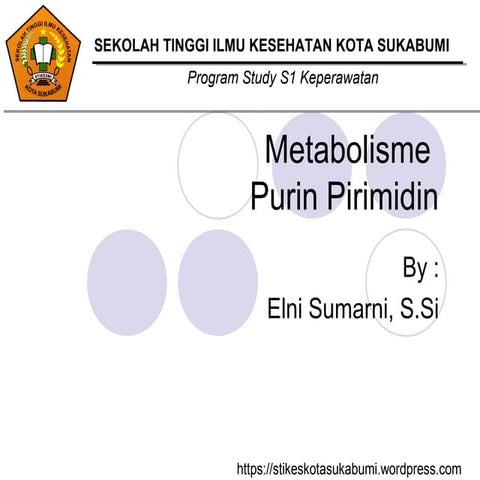 Metabolisme Purin Primidin | PPT