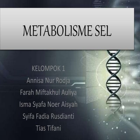 Metabolisme sel | PPTX