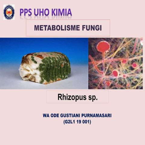 Metabolisme wa ode gustiani purnamasari g2 l1 19 001 | PPTX