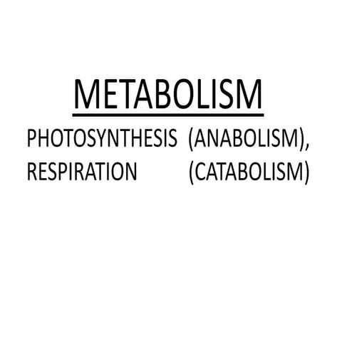 METABOLISM IN PLANTS.pptxMetabolism in plants Defination- Metabolism is ...