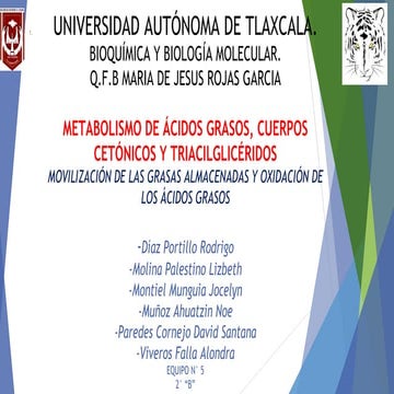 MOVILIZACIÓN DE LAS GRASAS ALMACENADAS Y OXIDACIÓN DE LOS ÁCIDOS GRASOS ...