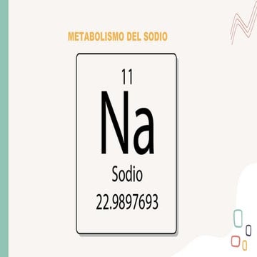 Metabolismo del sodio, potasio y cloro.pptx