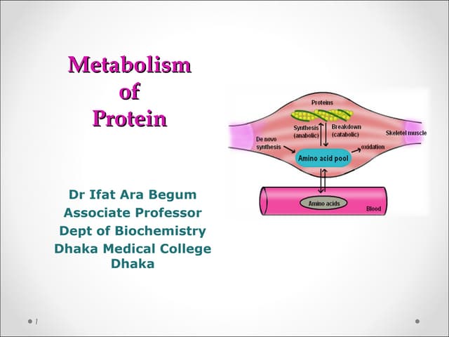 Introduction to metabolism | PPT