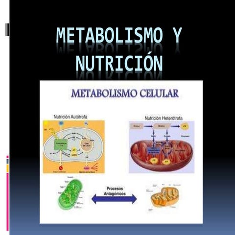 Metabolismo y nutrición presentacion (1) (1).pptx