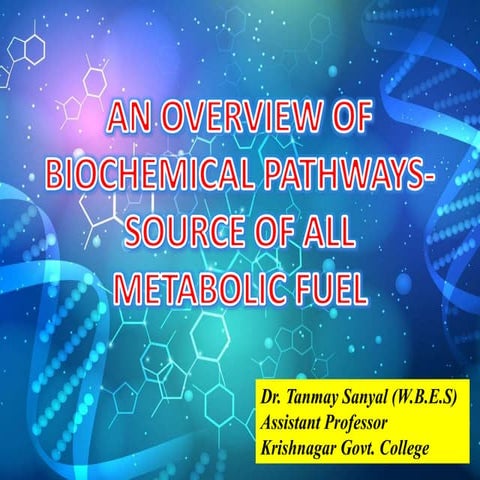 AN OVERVIEW OF BIOCHEMICAL PATHWAYS- SOURCE OF ALL METABOLIC FUEL | PPTX