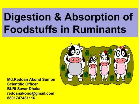 Digestive system of a cow | PPTX