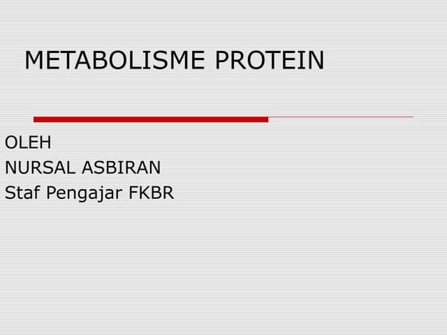 METABOLISME PROTEIN | PPT