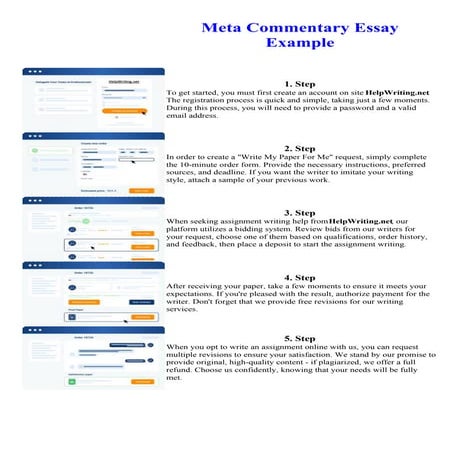 Meta Commentary Essay Example. Online assignment writing service. | PDF