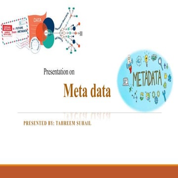 metadata And Its Types presentation.pptx
