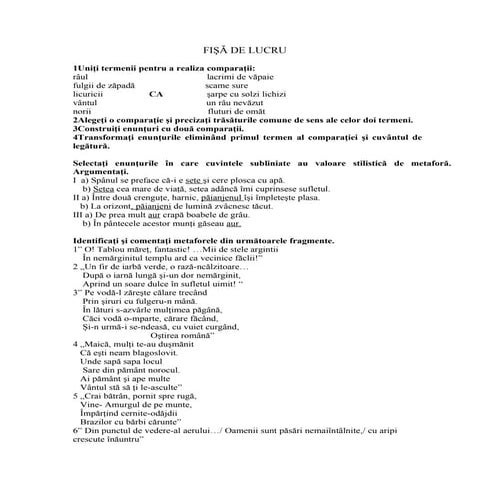 Metafora fisa de_lucru | DOC