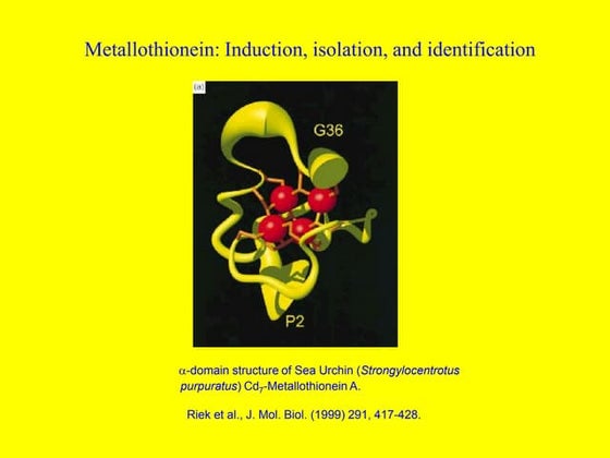 metallothionein -Biomarker | PDF