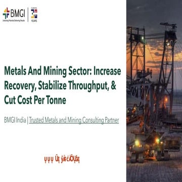 Metals and Mining Sector_ Increase Recovery, Stabilize Throughput, and ...