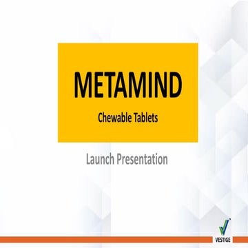 Metamind Launch PPT .pdf
