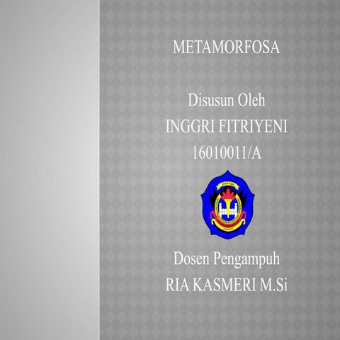 metamorfosa.........................pptx
