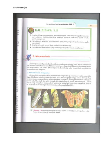 Materi Proxy Server Lengkap | PDF