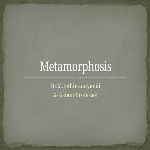 Metamorphosis - Developmental Biology Dr.M.Jothimuniyandi | PPTX ...