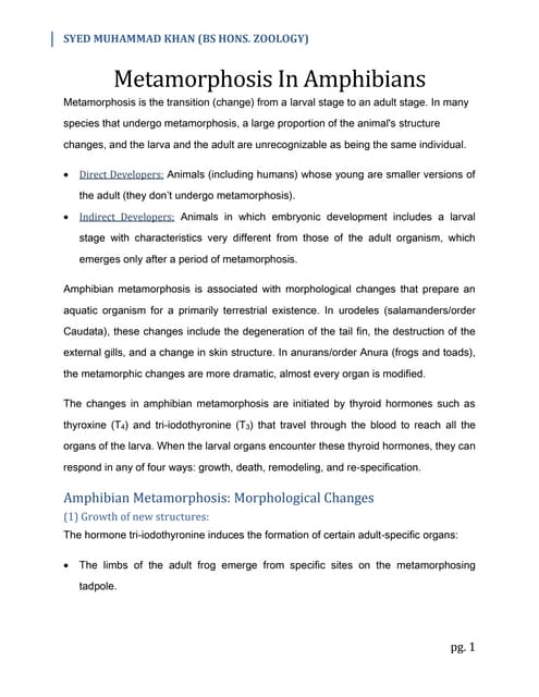 Metamorphosis in insects ppt.pptx | Biological Sciences | Science