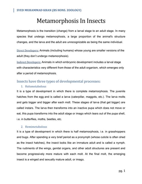 Bird nest type and nesting behaviour in birds | PPT