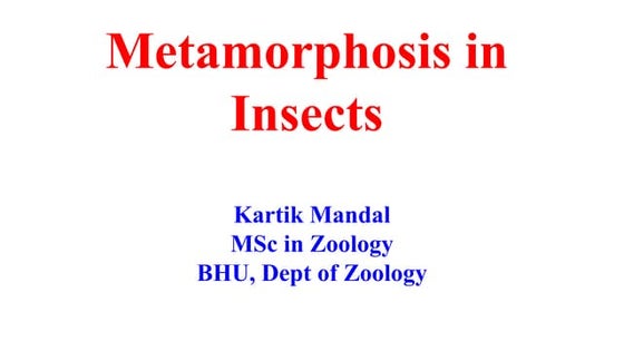 Metamorphosis in insects ppt.pptx | Biological Sciences | Science