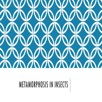 Metamorphosis in insects.pptxhiihthkkkjh | PPT