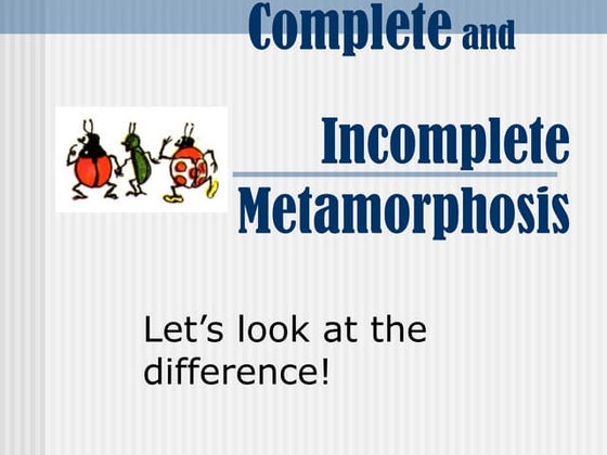 Metamorphosis in insects ppt.pptx