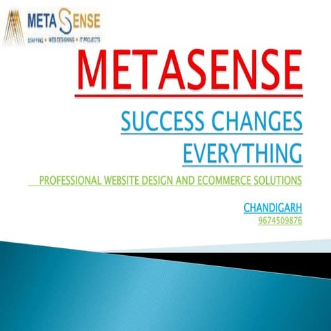 METASENSE.PPT.pptx | Business | Business and Finance