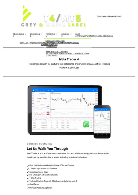 The MetaTrader-4 (MT4) Trading Tutorial -Essential Tips and Tricks for ...