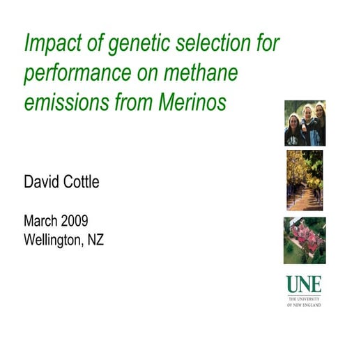 Methane in sheep | PDF