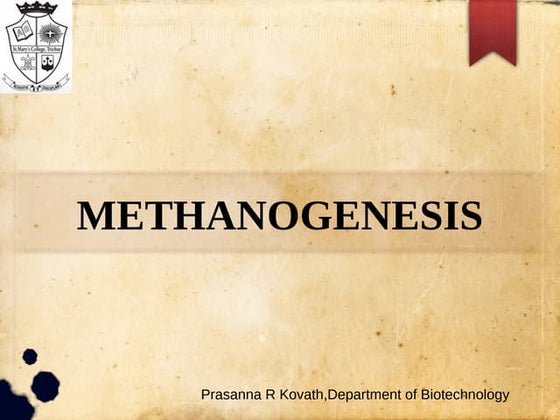 Methanogenesis | PPTX | Chemistry | Science