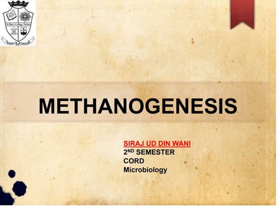 --METHANOGENS- (general microbiology )-- | PPT