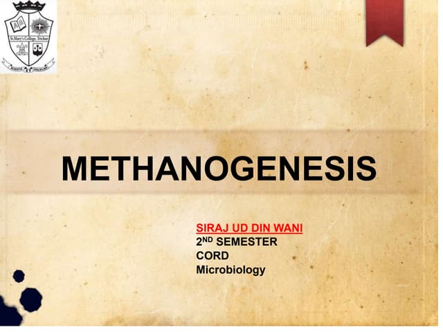 Methanogens | PPTX