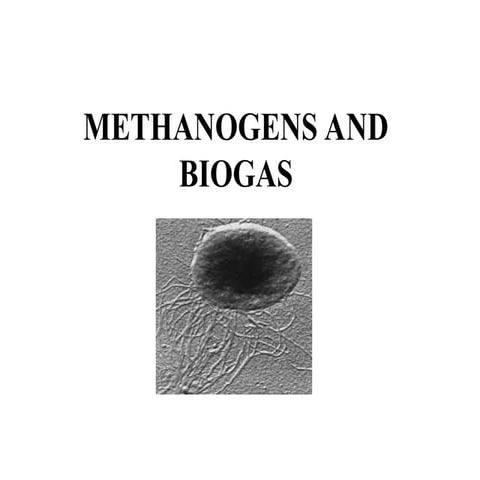 methanogens-bvvvvvbbbvvgbbgand-biogas.ppt