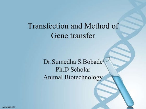 MICROINJECTION GENE TRANSFER METHOD | PPT