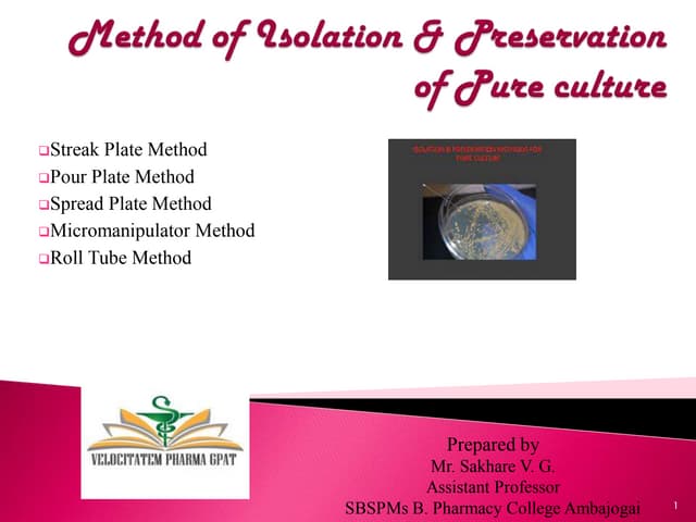 Isolation & Identification of Microorganism | PPTX