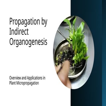 Methods 3 Propagation by Indirect Organogenesis.pptx