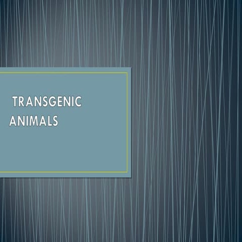 Methods for producing_transgenic_animals | PPT