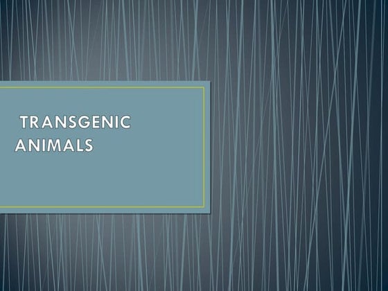 TRANSGENIC MICE | PPTX | Biological Sciences | Science