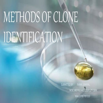 Colony hybridisation | PPTX