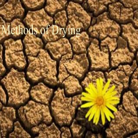 Drying- Pharmaceutical Engineering | PPT