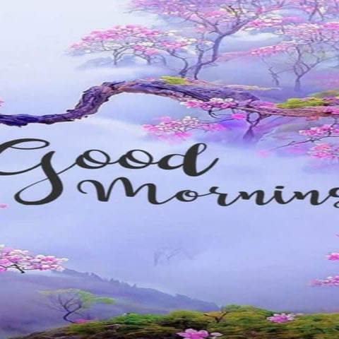 Methods_of_Patient_Assignment.pptx mmmmmmm | PPTX