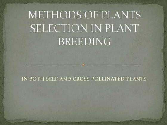 PEDIGREE METHOD OF PLANT BREEDING | PPTX | Gardening | Home & Garden