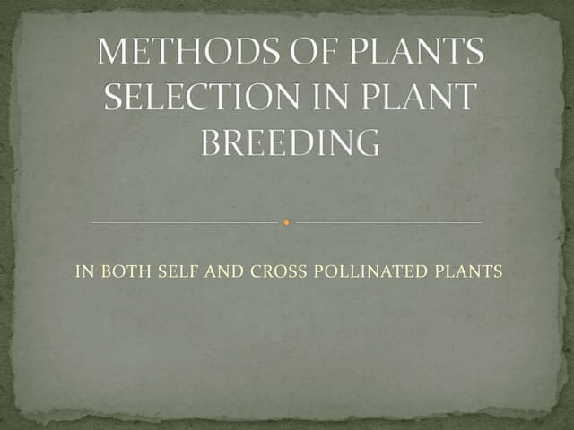 PEDIGREE METHOD OF PLANT BREEDING | PPTX