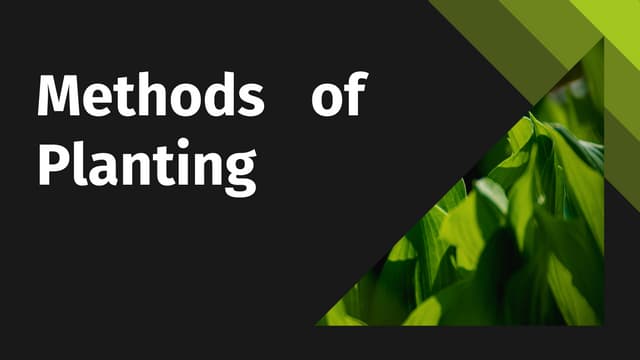 System of planting and types | PPTX