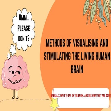 METHODS OF VISUALISING AND STIMULATING THE LIVING HUMAN BRAIN.pdf